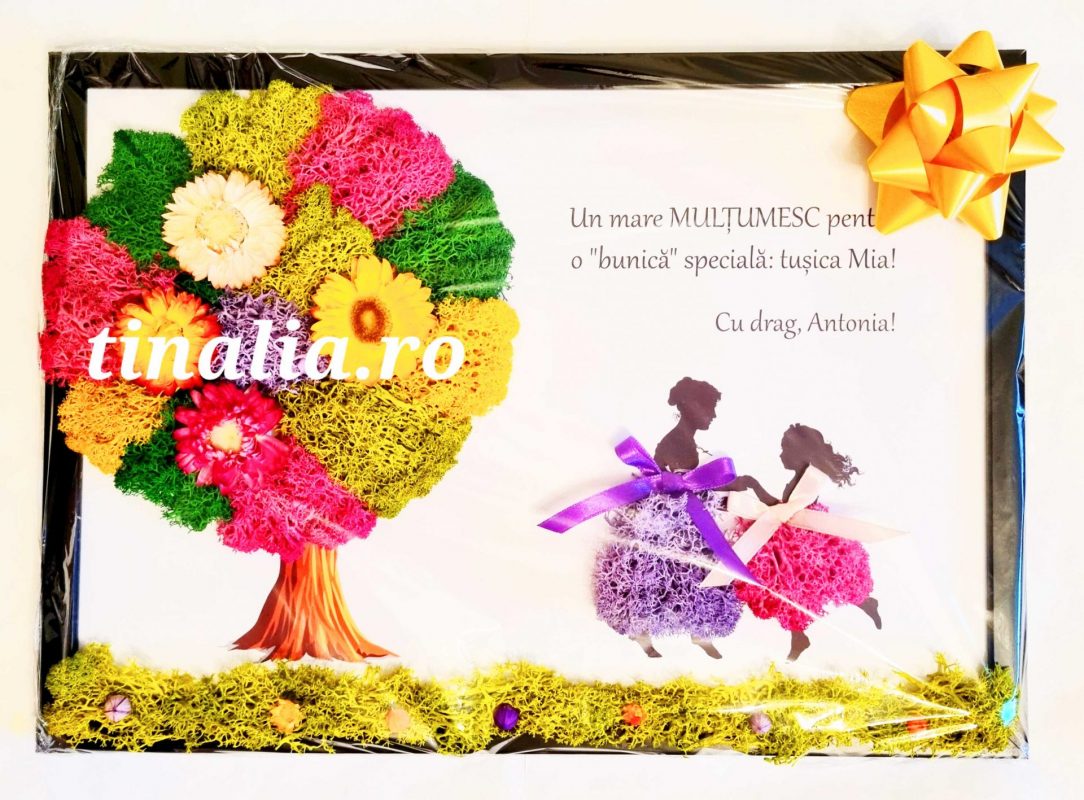 Tablouri Licheni - Cadou Personalizat Bunica - Tinalia