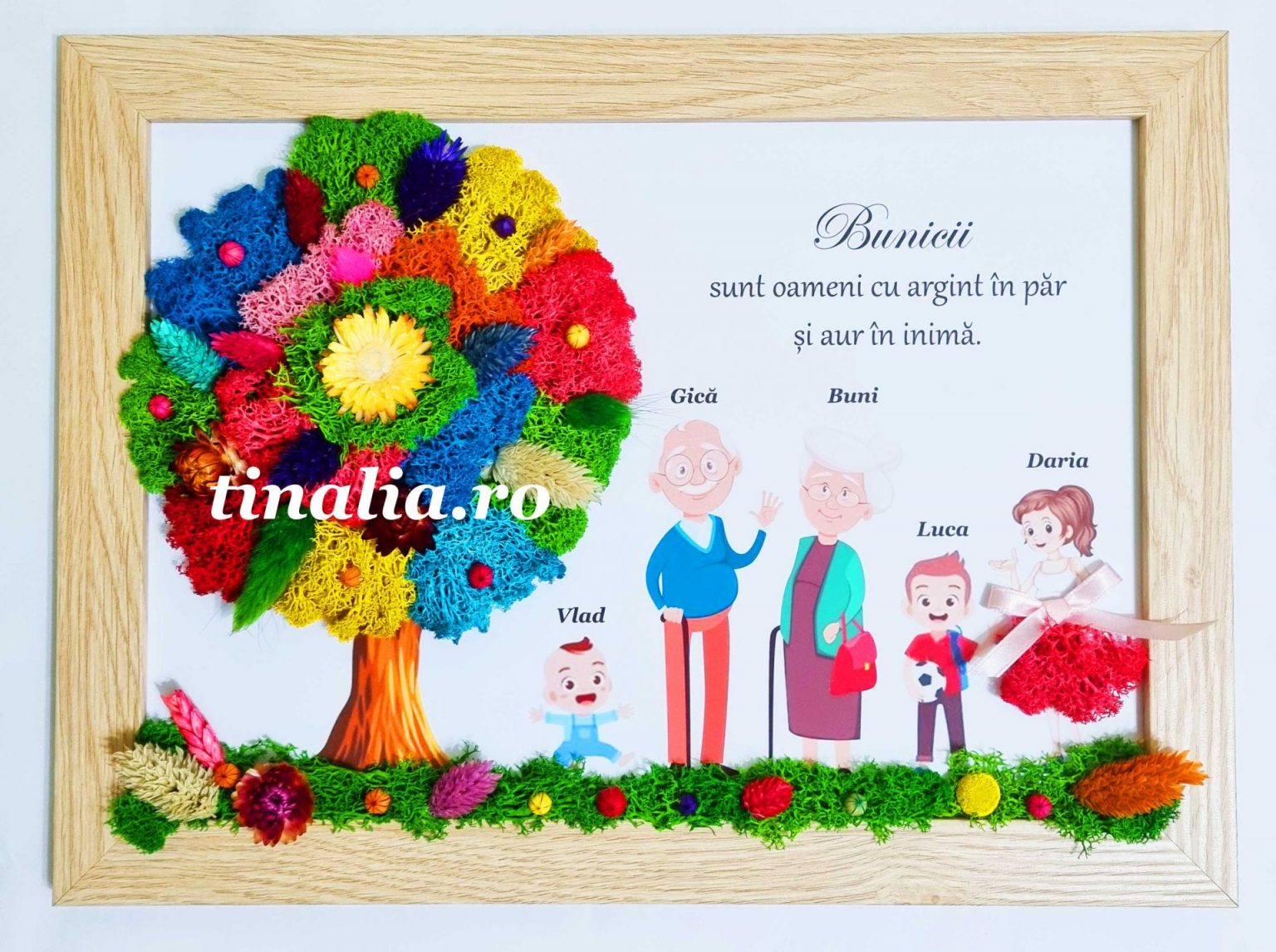 Tablouri cu Licheni "Nepoti si Bunici cu Nume" - Tinalia