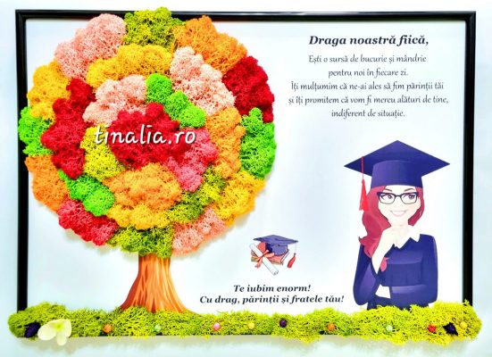 Tablou cu Licheni - Cadou de Absolvire - Tinalia