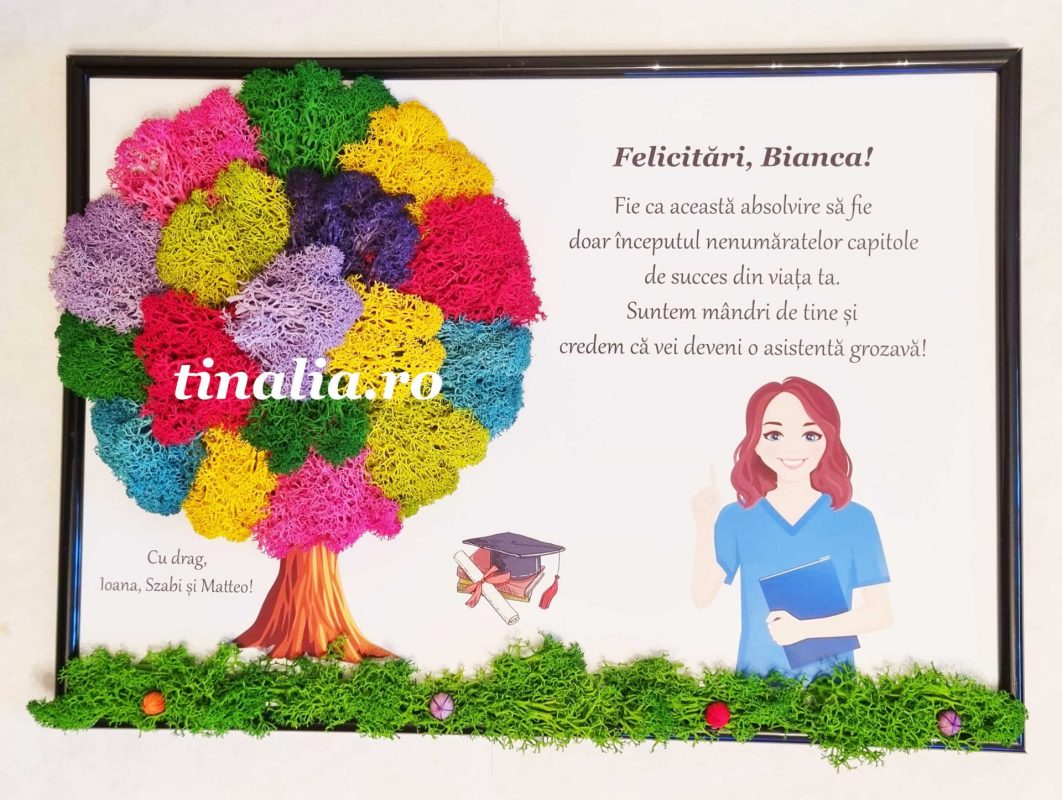 Tablou cu Licheni - Cadou Absolvire Asistenta - Tinalia