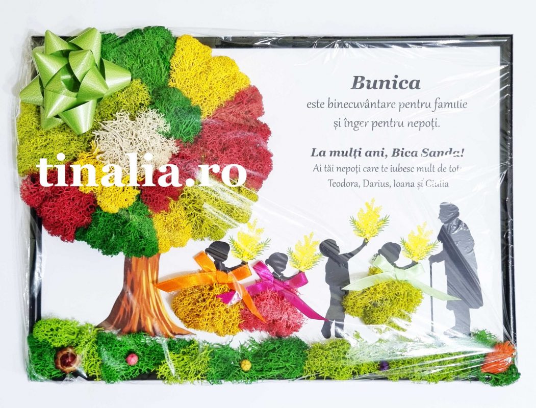 Cadou pentru Bunica si Patru Nepoti - Tinalia