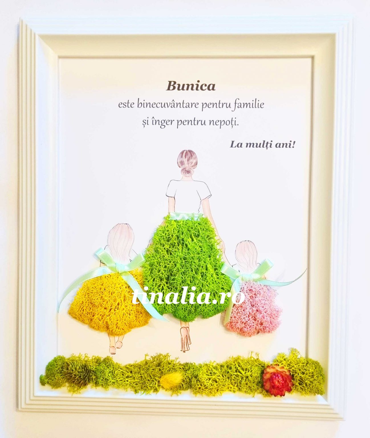 Tablouri cu Licheni - Cadou Bunica si Nepotele - Tinalia