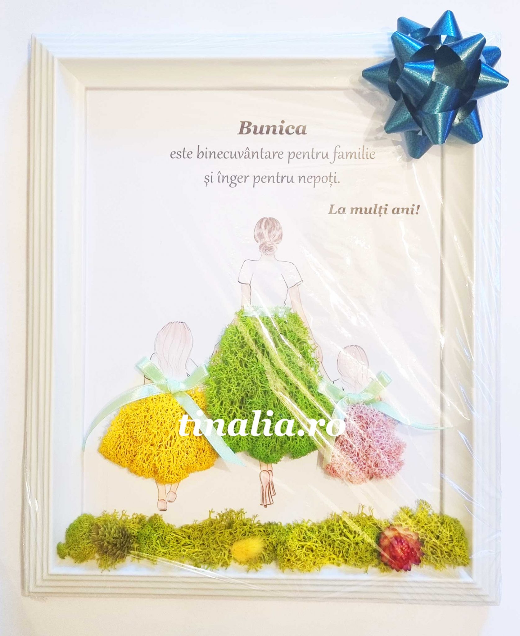 Tablouri cu Licheni - Cadou Bunica si Nepotele - Tinalia