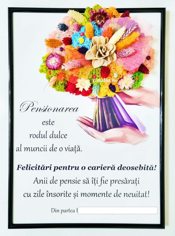 Tablou cu Licheni "Cadou pentru Pensionare" - Tinalia