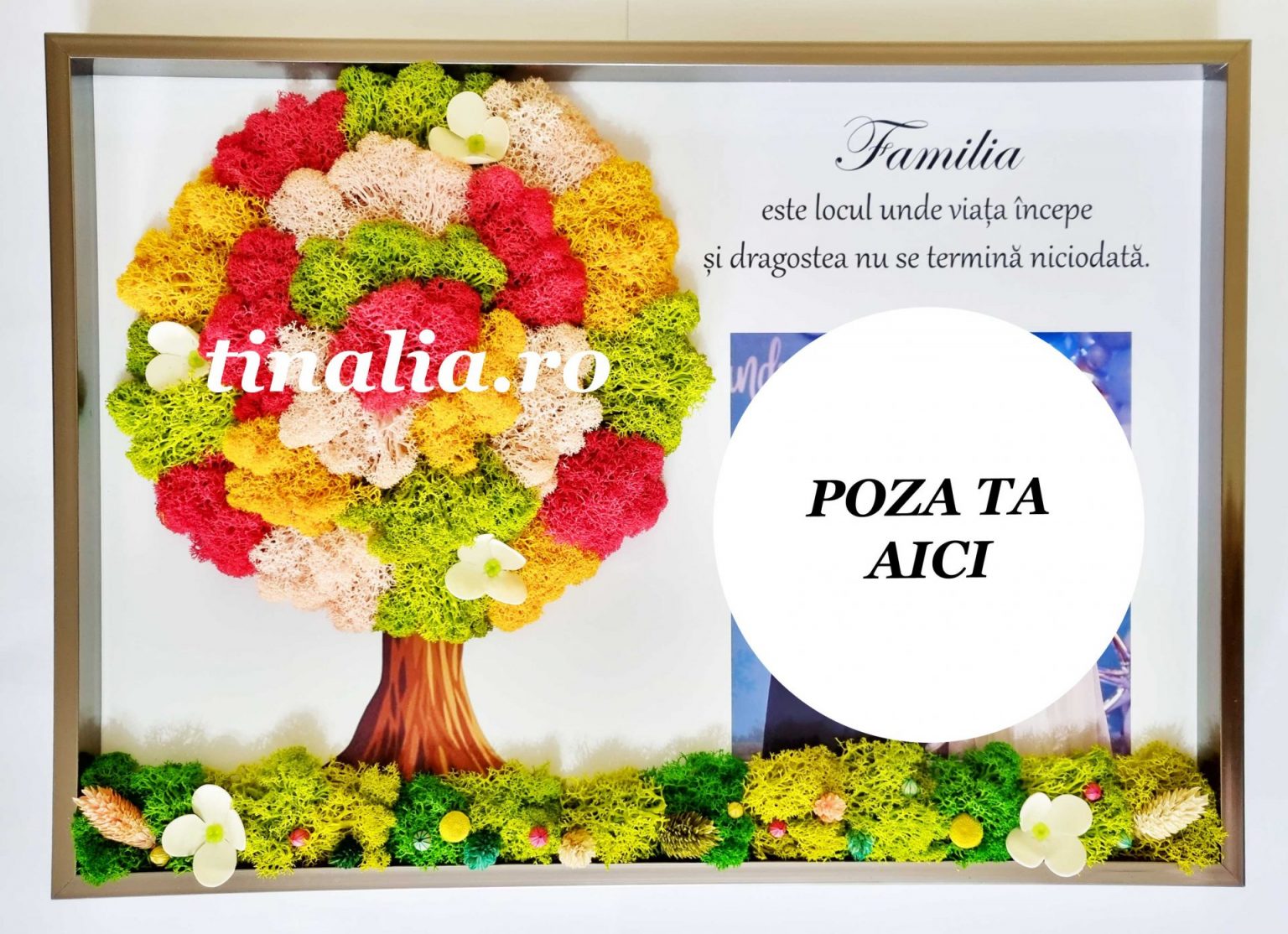 Cadou Familie Personalizat cu Poza - Tablou A3 - Tinalia